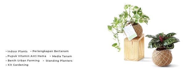 Tentang Planteria - Planteria.id