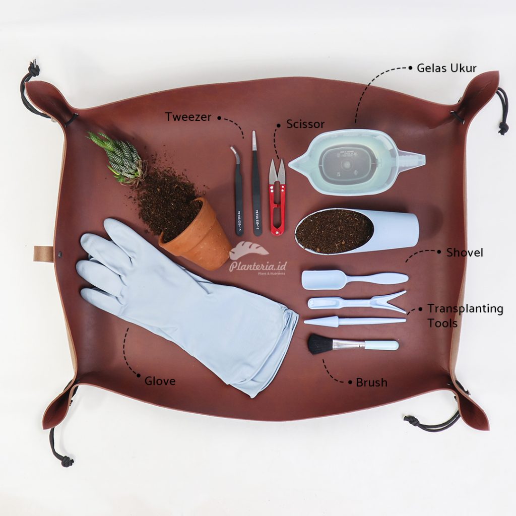 Gardening Kit untuk Plant Lovers - Planteria.id