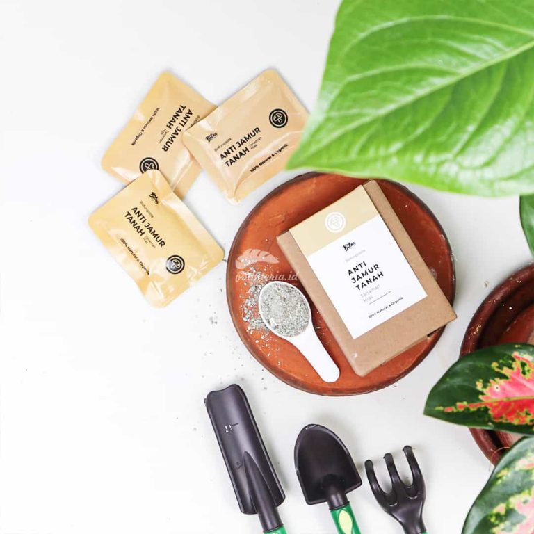 Trichoderma untuk Mengendalikan Jamur Patogen Tanaman - Planteria.id