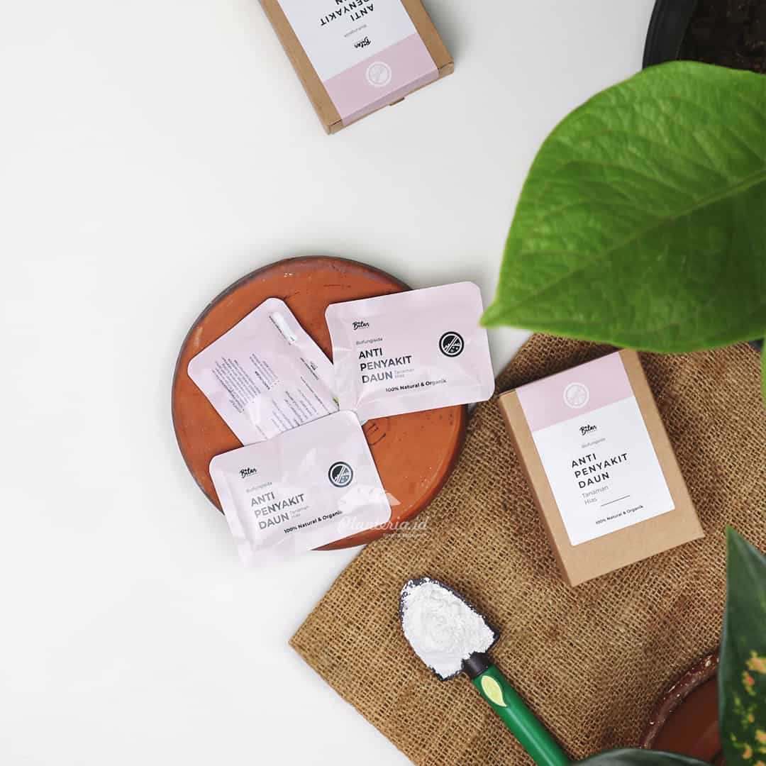 Siklus Infeksi Jamur pada Tanaman - Planteria.id