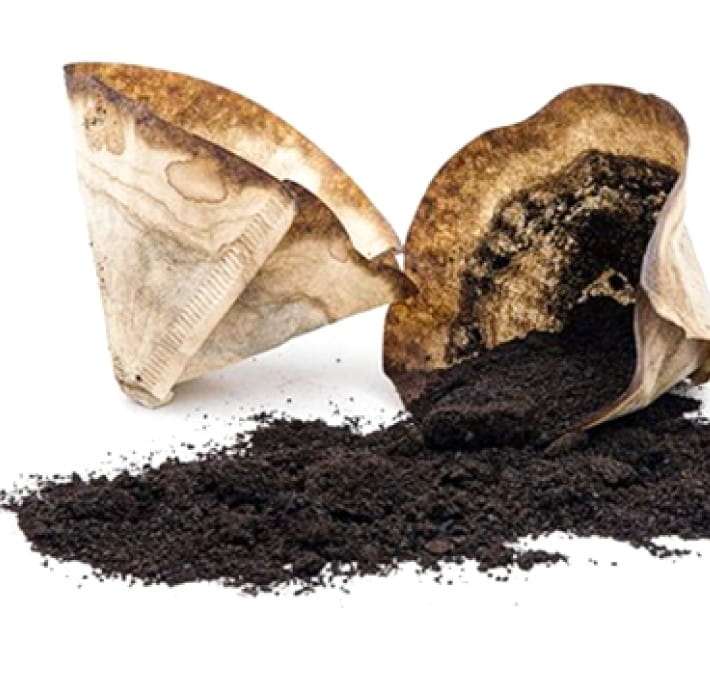 Pemanfaatan Ampas Kopi untuk Tanaman Hias – Planteria.id Pemanfaatan Ampas Kopi untuk Tanaman Hias – Planteria.id